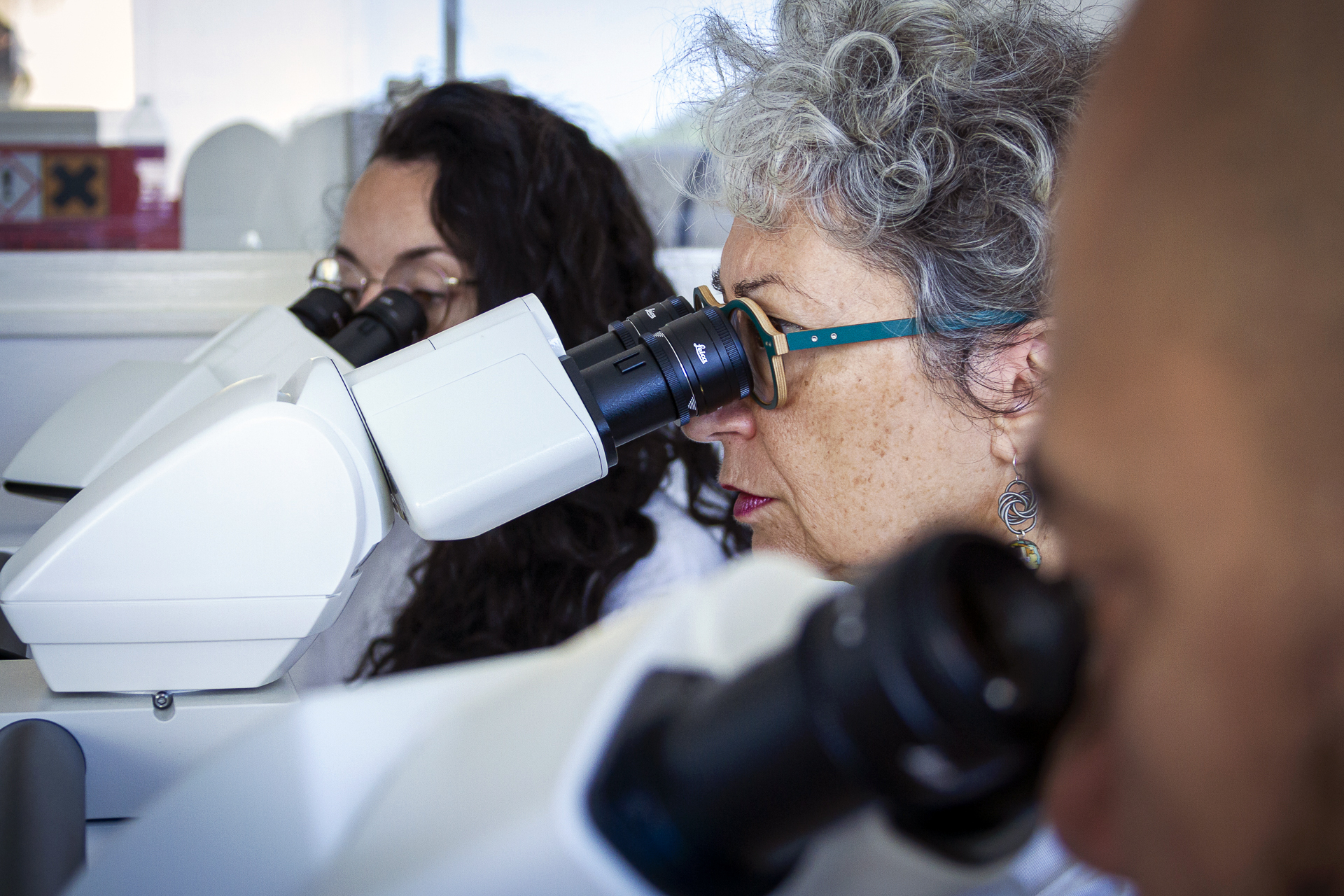 Anatomo cyto pathologie - Hôpitaux La Rochelle Ré Aunis