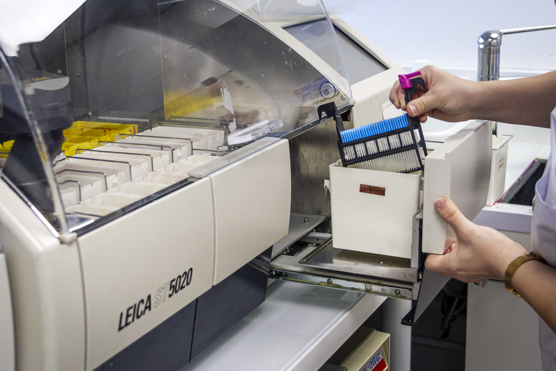 Anatomo cyto pathologie - Hôpitaux La Rochelle Ré Aunis